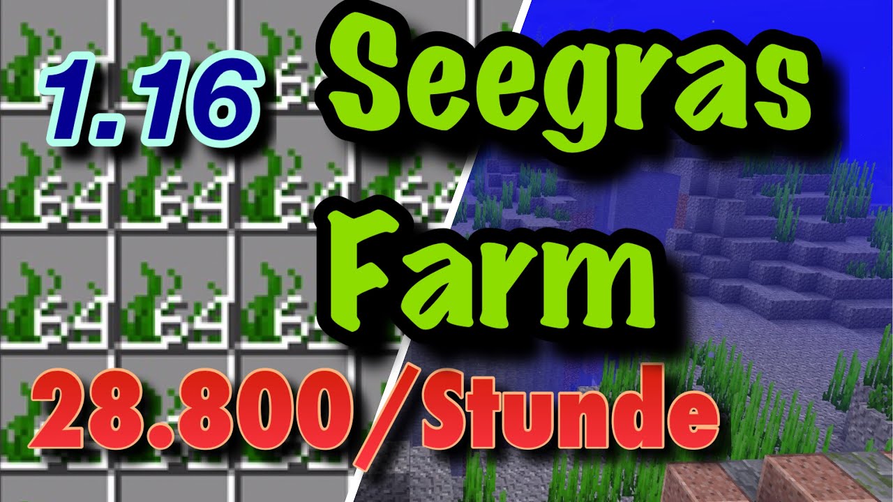 Seegras Farm bauen! 28.800/Stunde 1.16 (Tutorial German) - YouTube