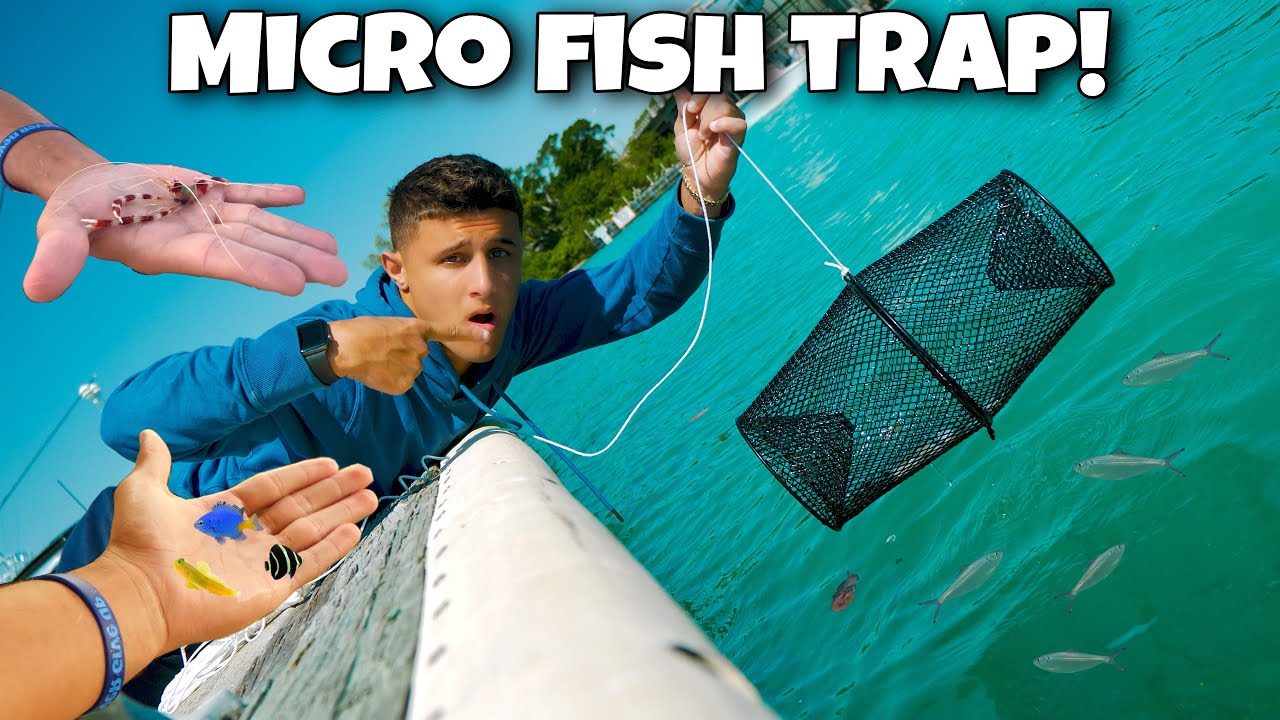 MICRO FISH TRAP Catches MICRO AQUARIUM FISH Pt.2 - YouTube