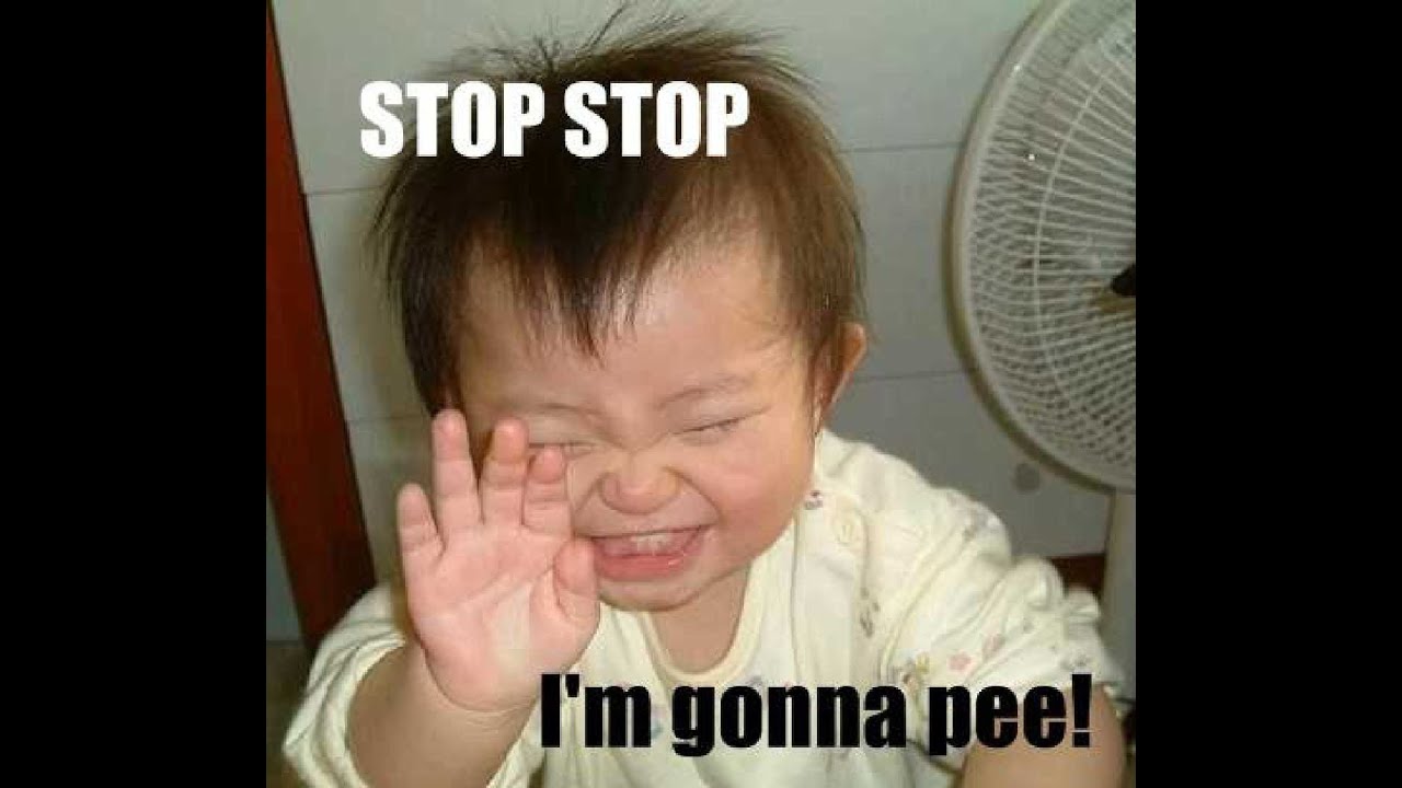 Best laugh ever - YouTube