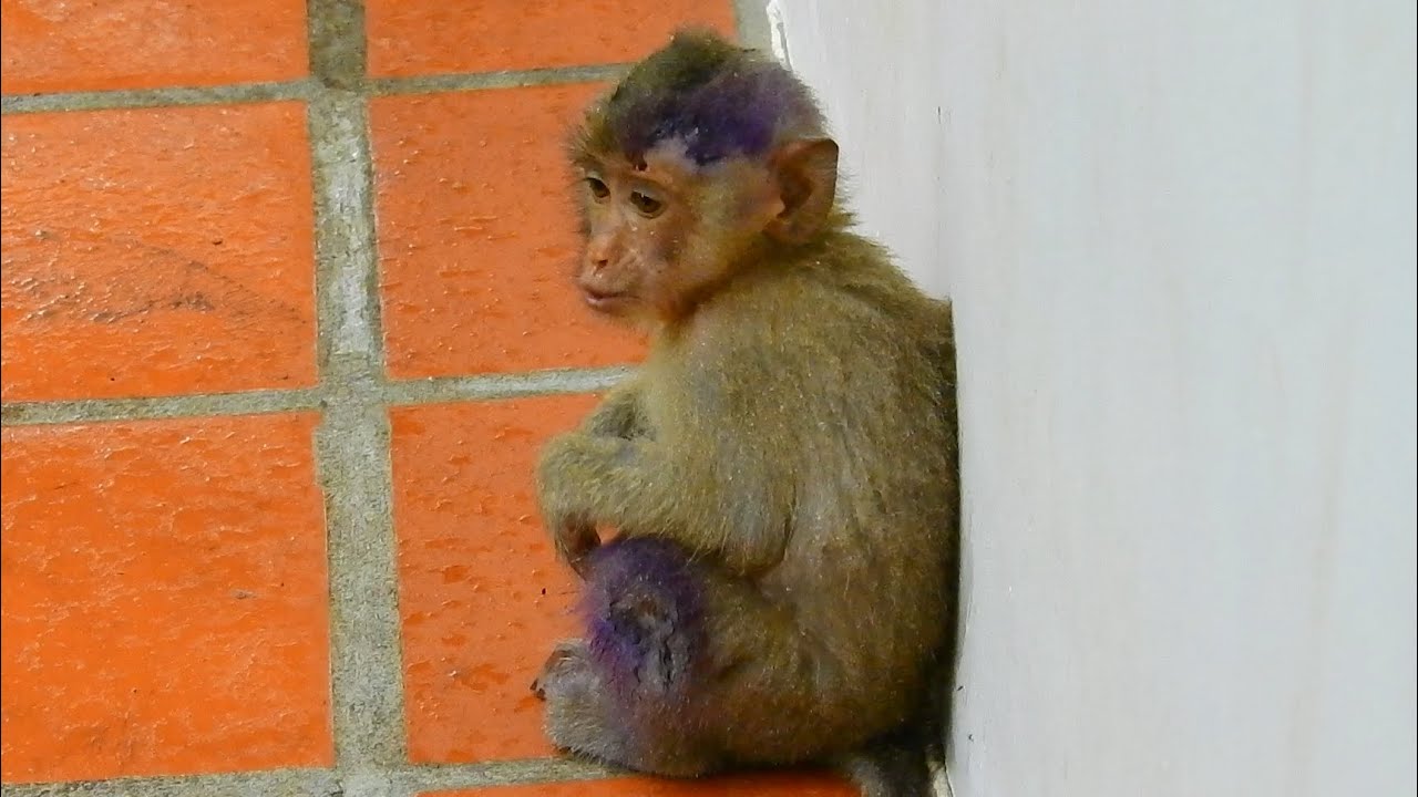EMOTIONAL CRYING AND PITIFUL POOR RAINBOW— How pity for poor girl ...