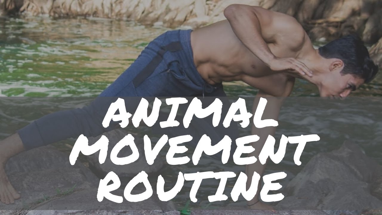 Rutina 20 min de Animal Movement (Animal Flow/Movement Flow) - YouTube