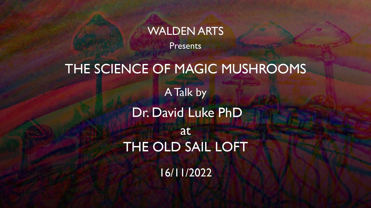 David Luke - The Science of Magic Mushrooms - YouTube