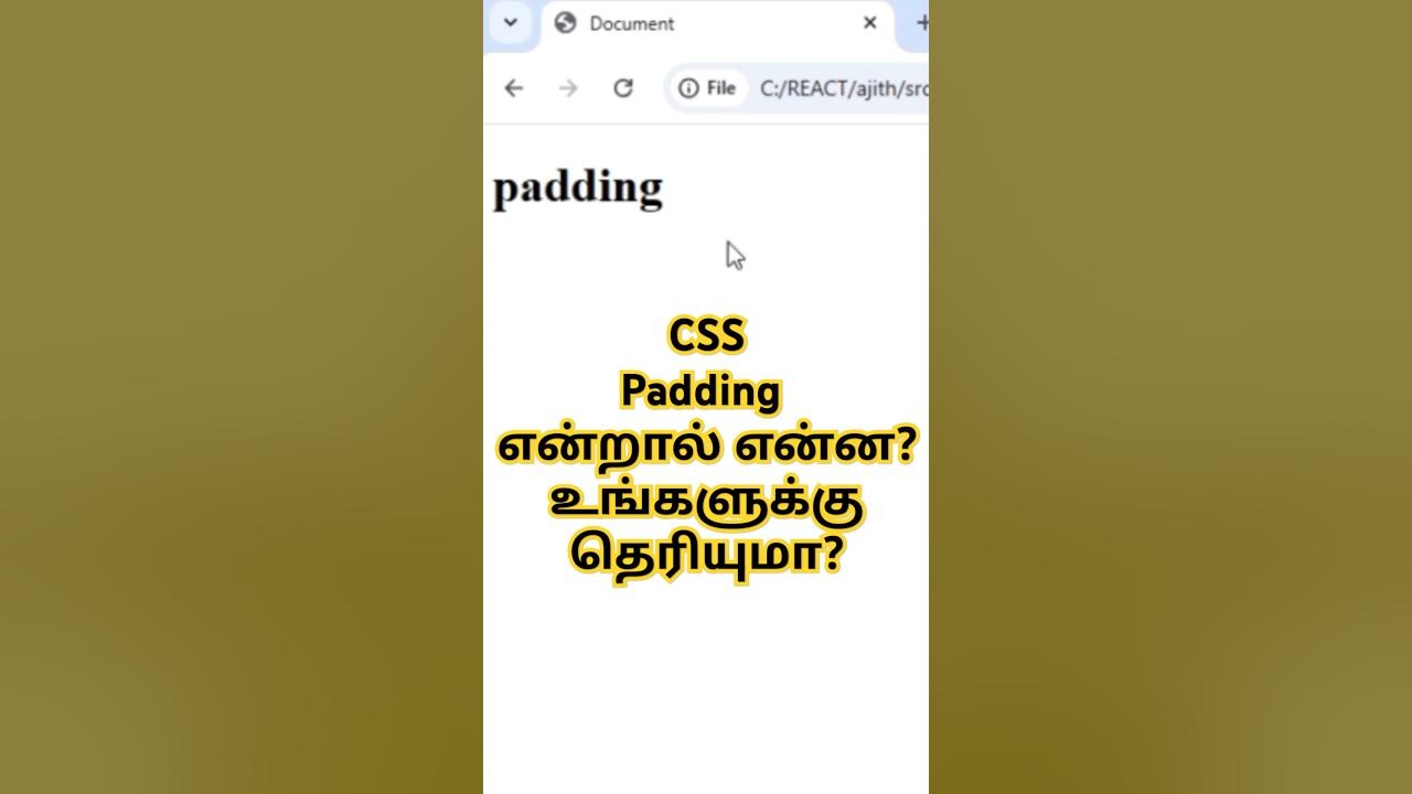 CSS Padding: The Most Confusing Part of CSS Explained #cssgrid - YouTube