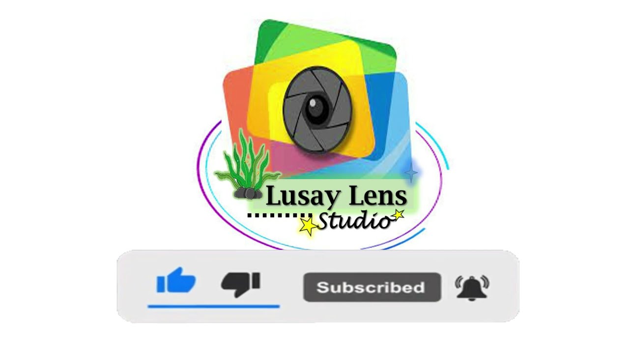 INTRO Video Template │ Lusay Lens Studio - YouTube