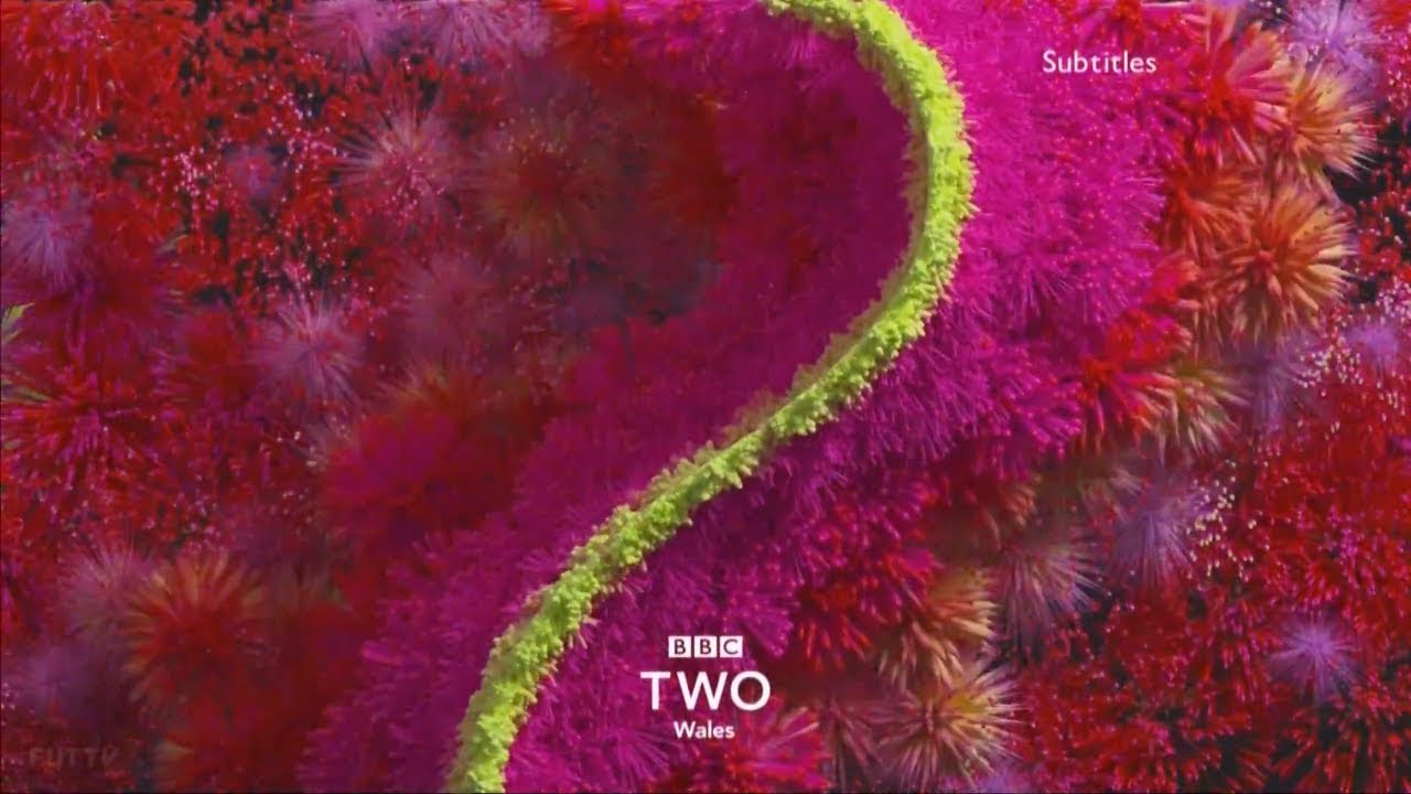 BBC Two Wales HD - Continuity - 26th October 2018 (4) - YouTube