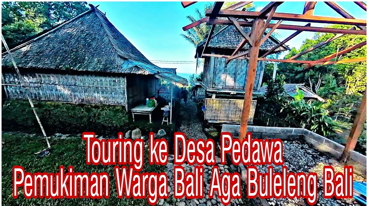 Touring ke Desa Pedawa, Pemukiman Warga Bali Aga di Buleleng Bali - YouTube