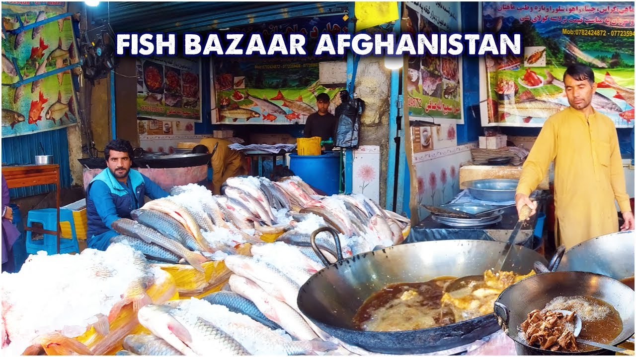 Jalalabad's Aquatic Treasure: Exploring the Largest Fish Bazaar in Afghanistan | 4K - YouTube
