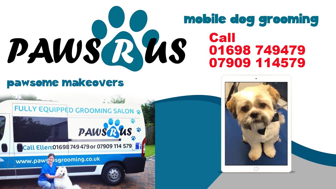 Dog Grooming Lanarkshire - Paws R Us - YouTube