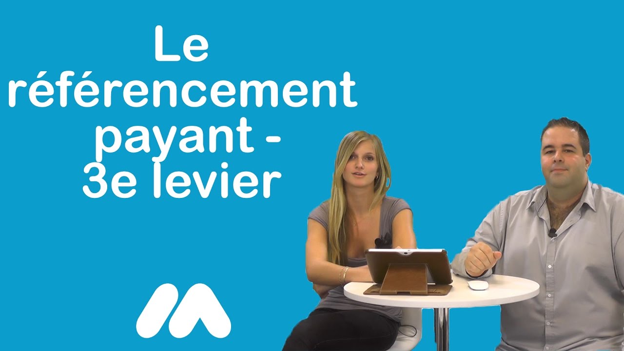 Le référencement payant - 3e levier - 13 leviers principaux du ...