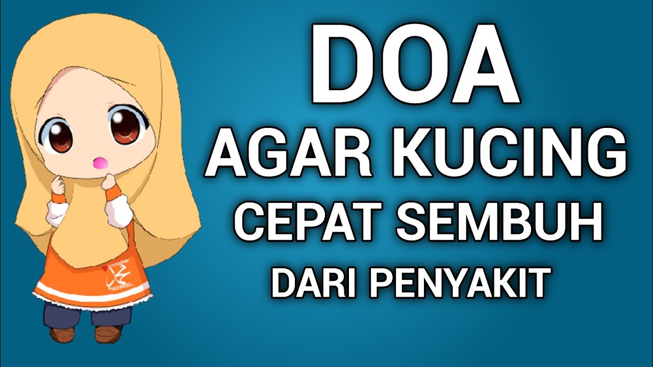 DOA AGAR KUCING CEPAT SEMBUH DARI PENYAKIT - YouTube