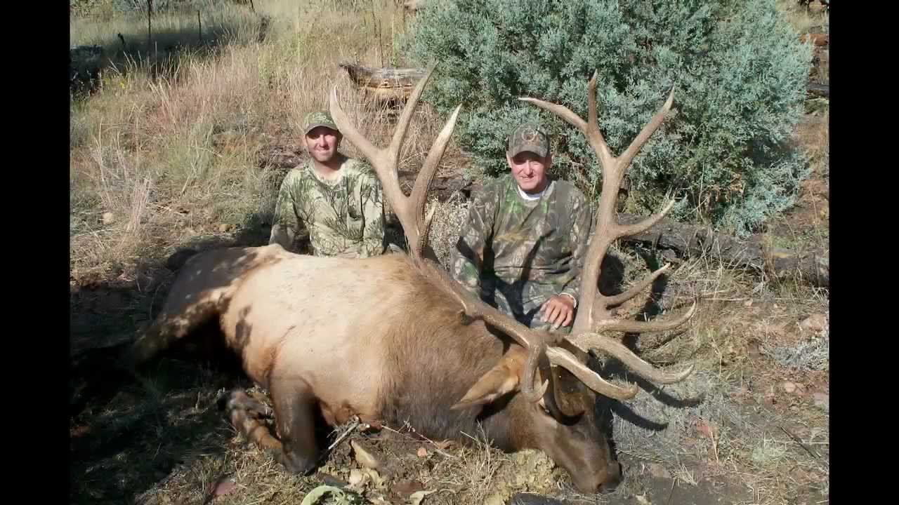 AZ Bull Elk Hunting 3C 2012 Harlem Shake - YouTube
