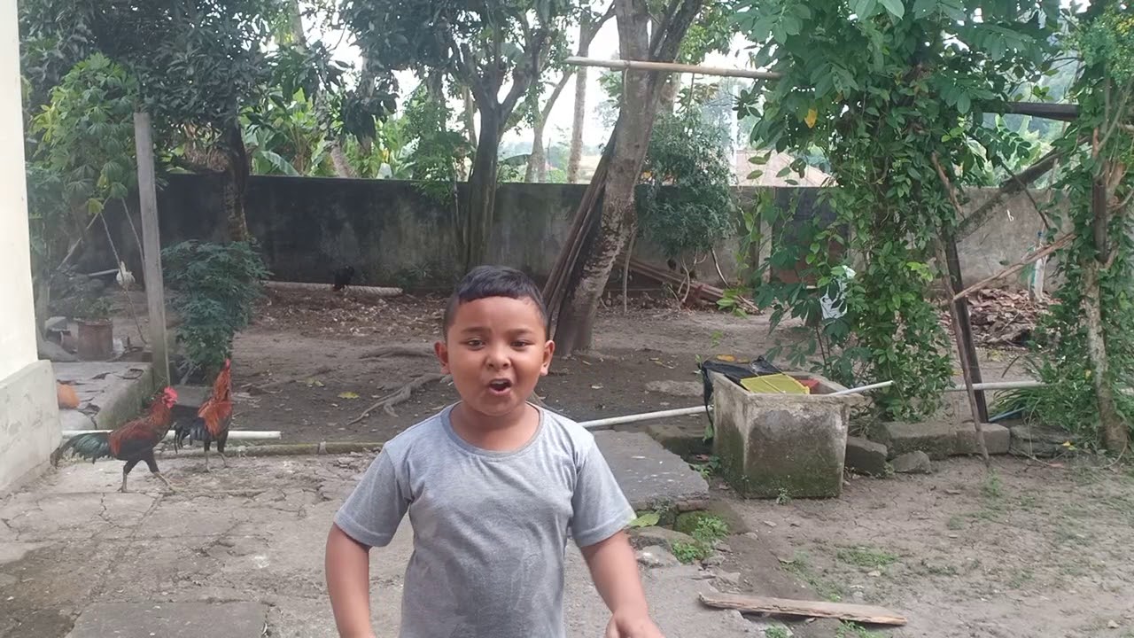 Lagu "ayamku" karya AT Mahmud - YouTube