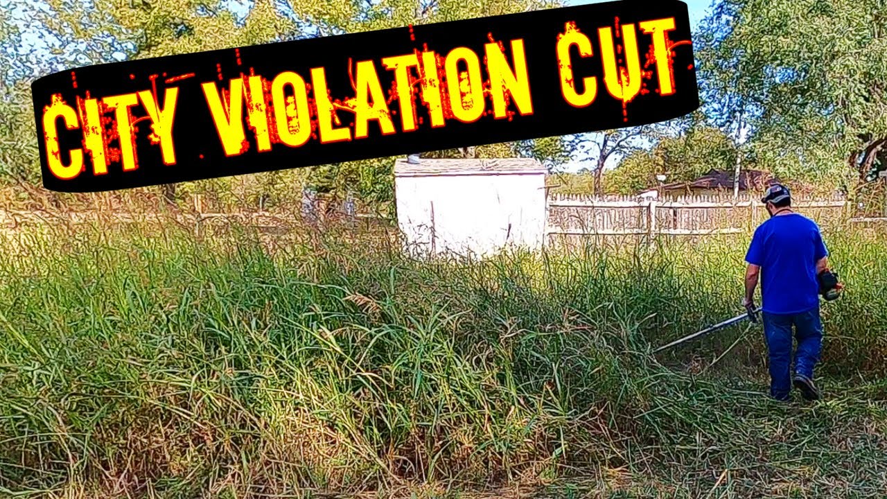 😱 WAIST HIGH GRASS CUT USING A WEEDEATER 😱 OVERGROWN! CITY VIOLATION ...