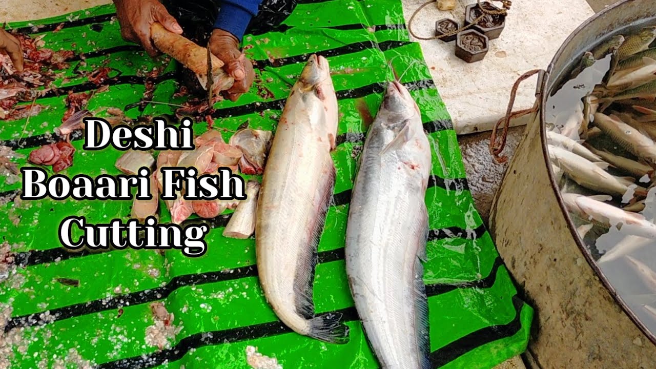 देशी बोआरी मछली कटिंग Deshi Boaari Fish Cutting #SanjanaKiRasoi # ...