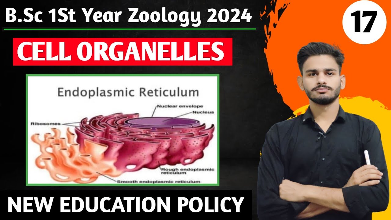 bsc 1st year zoology cell biology in hindi |discovery of cell and cell ...