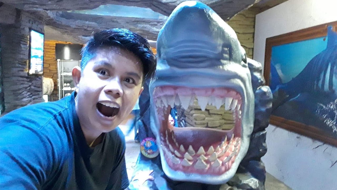 IT'S MORE FUN AT THE SHORE OCEANARIUM |AQUARIUM IN MELAKA, MALAYSIA ...
