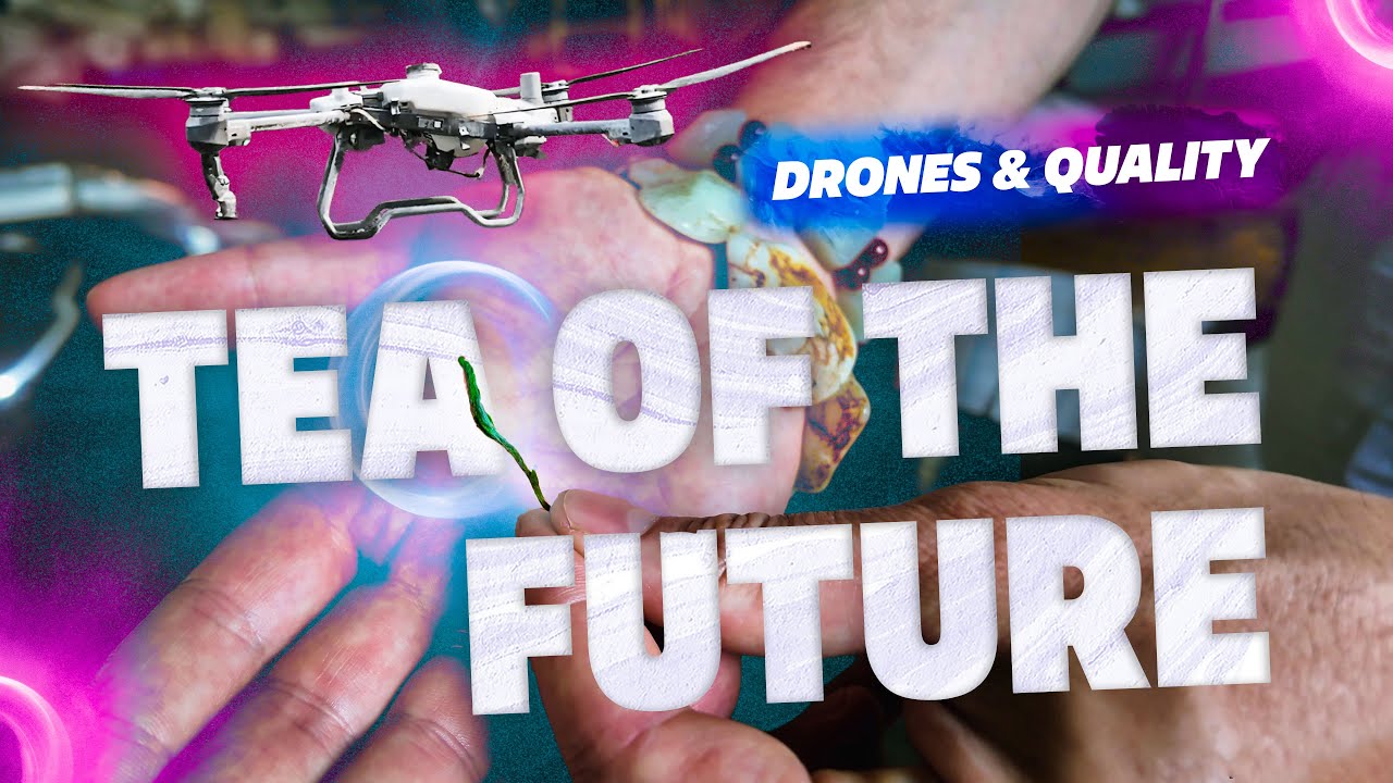 The Future in China! Drone Farmers and Organic Tea - YouTube