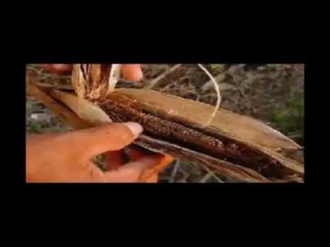 Cultura Motilon Bari - YouTube