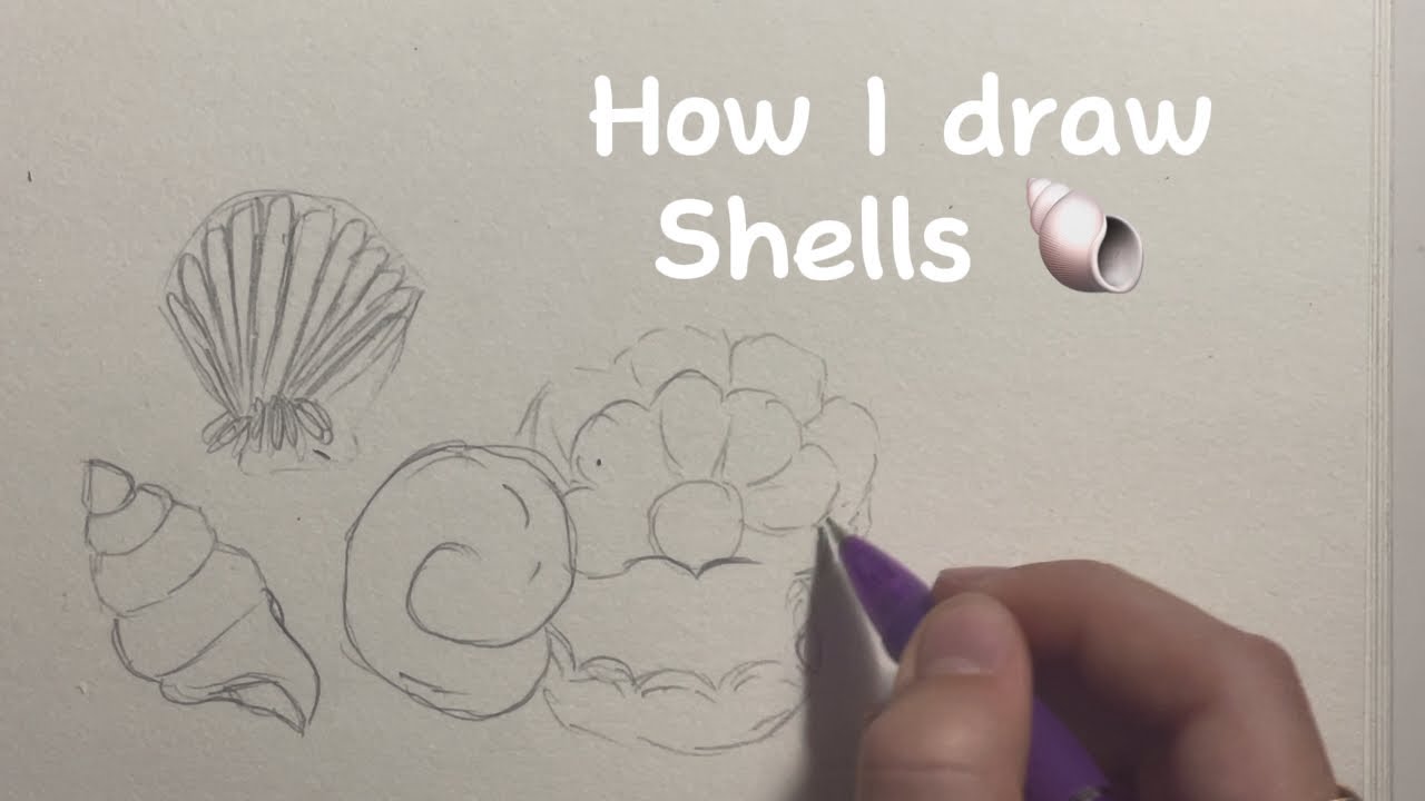How I draw shells 🐚 - YouTube