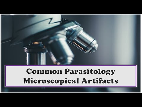 Common Microscopical 🔬 Artifacts in Parasitology 🚽 - YouTube