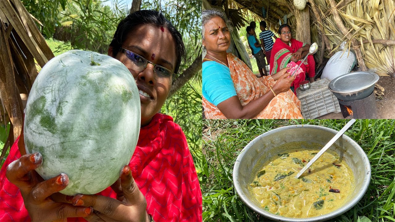 Poosani Kootu I தோட்டத்தில் பறித்து நானும் சித்தியும் சமைத்த பூசணி ...