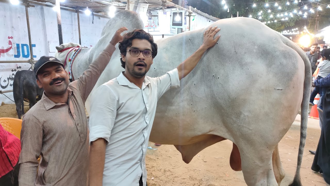 5 TANGO WALA BACHDA 😱 or 5 SEENGO WALA DUMBA 😱 AT JDC || WELCOME BACK😊 ...