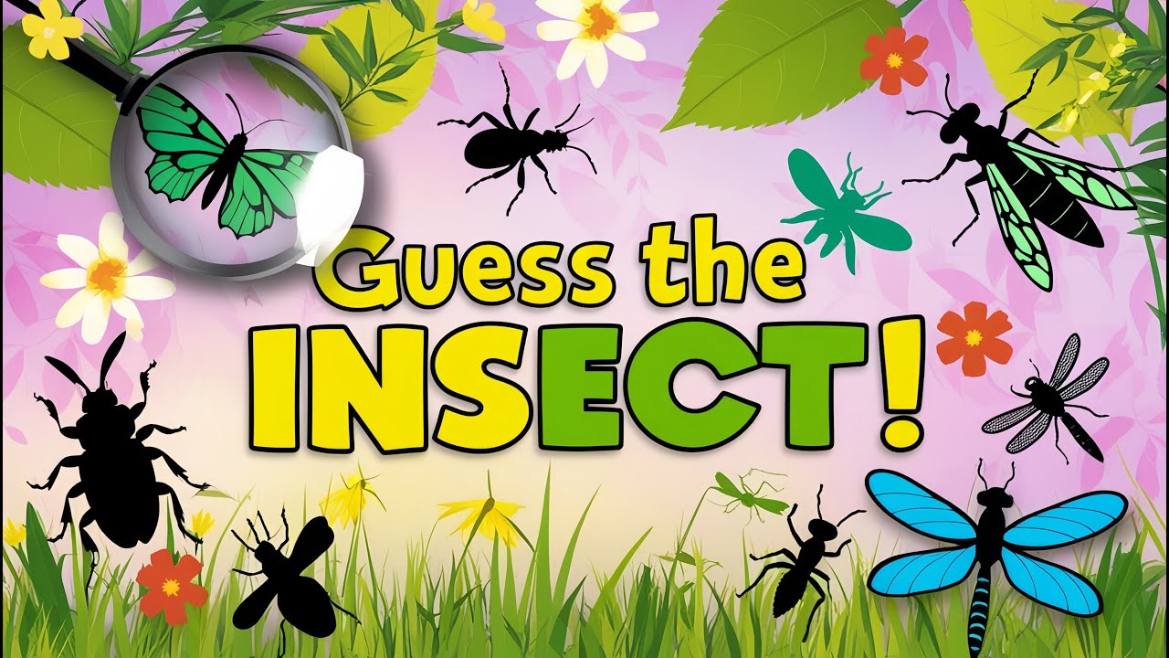 Guess INSECTS by Pictures | FUN QUIZ FOR KIDS | Easy, Medium, Hard ...