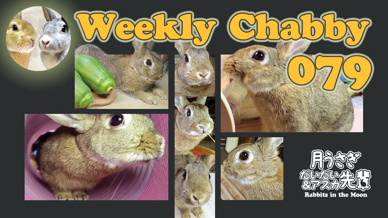 Weekly Chabby 079 - YouTube