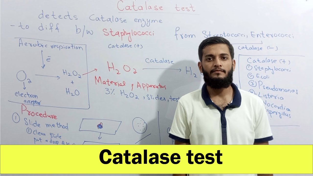 Catalase test - YouTube