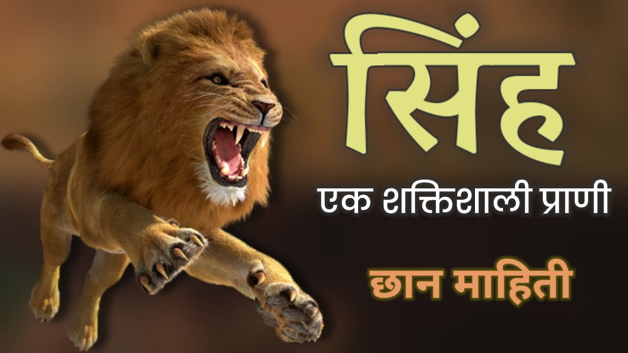 The Lion The Man And The Statue Story In Marathi at Joan Fleming blog