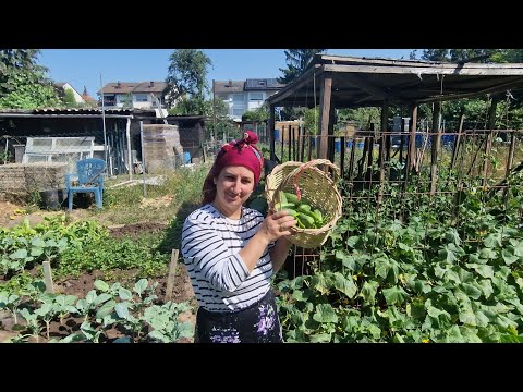 Rabbim herkese versin🧿🧿🧿❤️🤲bu vidyom kaçmaz bence şok şok