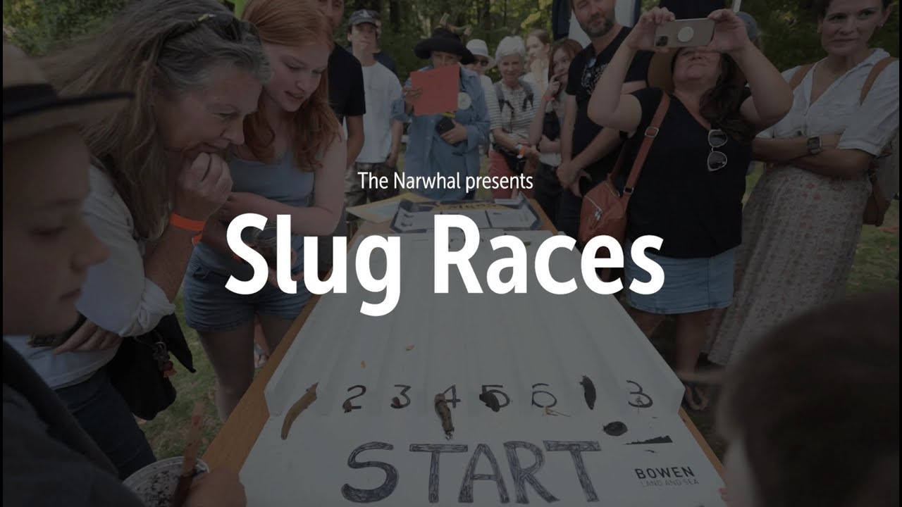 Tracing the sticky history of slug races - YouTube