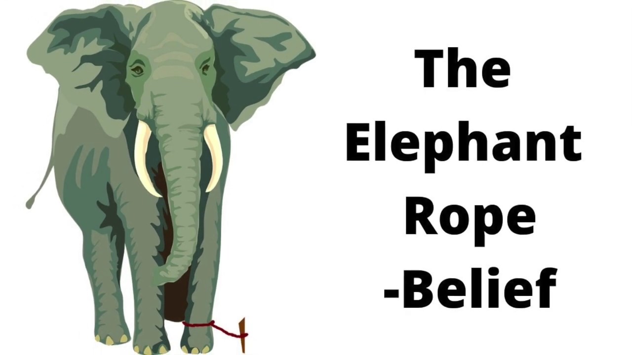 How to believe in urself(The Elephant Rope Belief Story) - YouTube