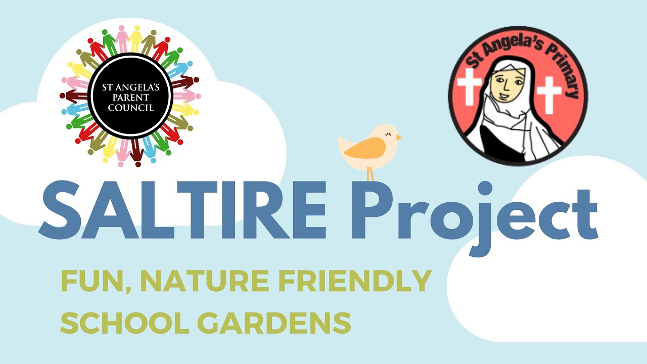 SALTIRE Crowdfunder Video - YouTube