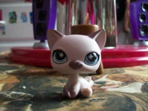 my littlest pet shop collection part 1