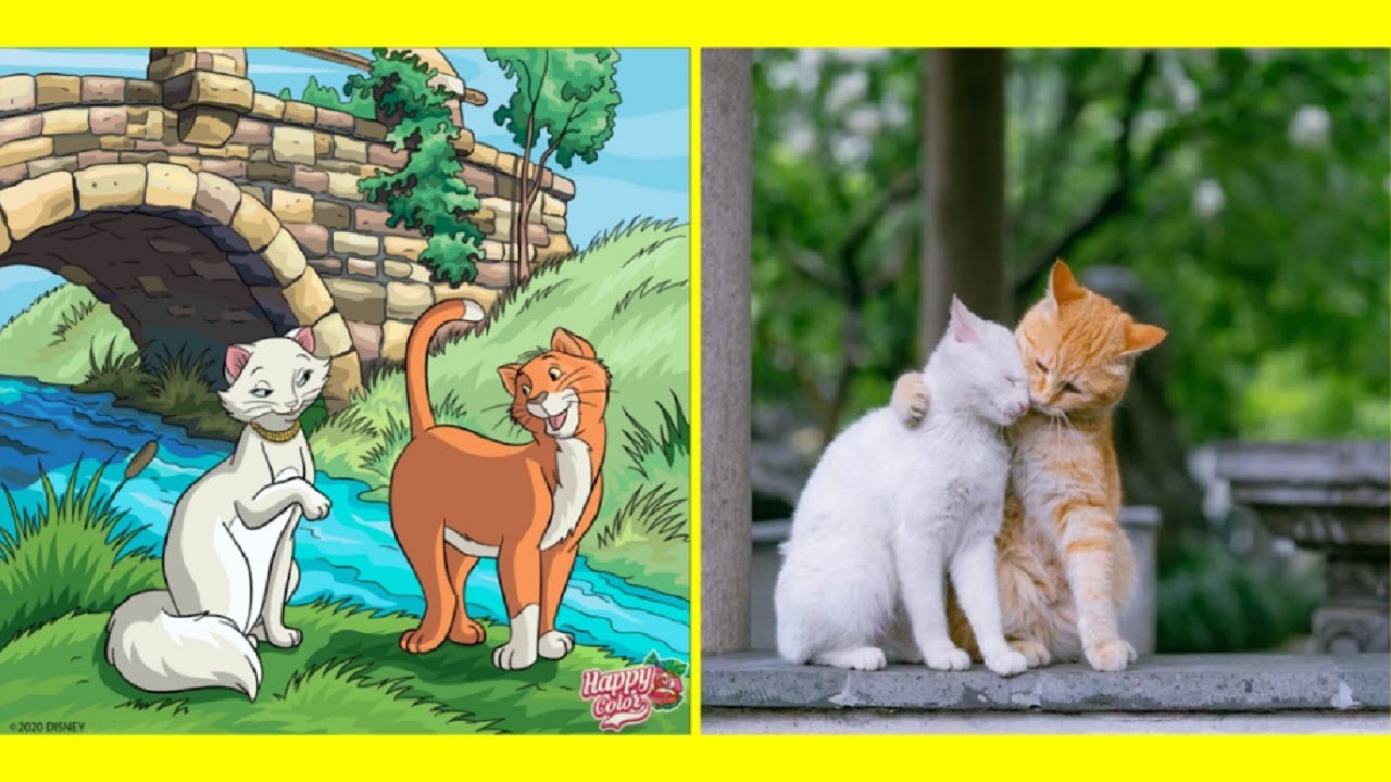 Happy color game color by numbers in real life / Disney cartoons - YouTube