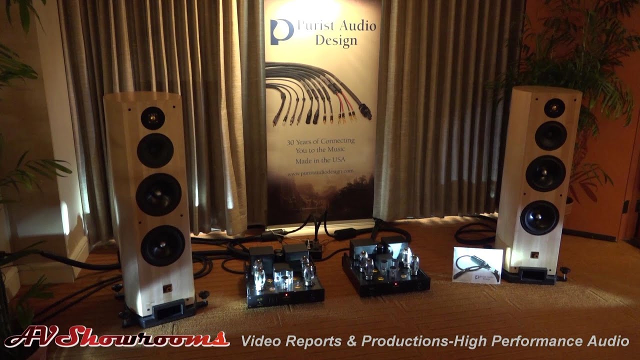 Purist Audio Design, TUBES vs SOLID STATE, Allnic, PBN, Groovemaster ...