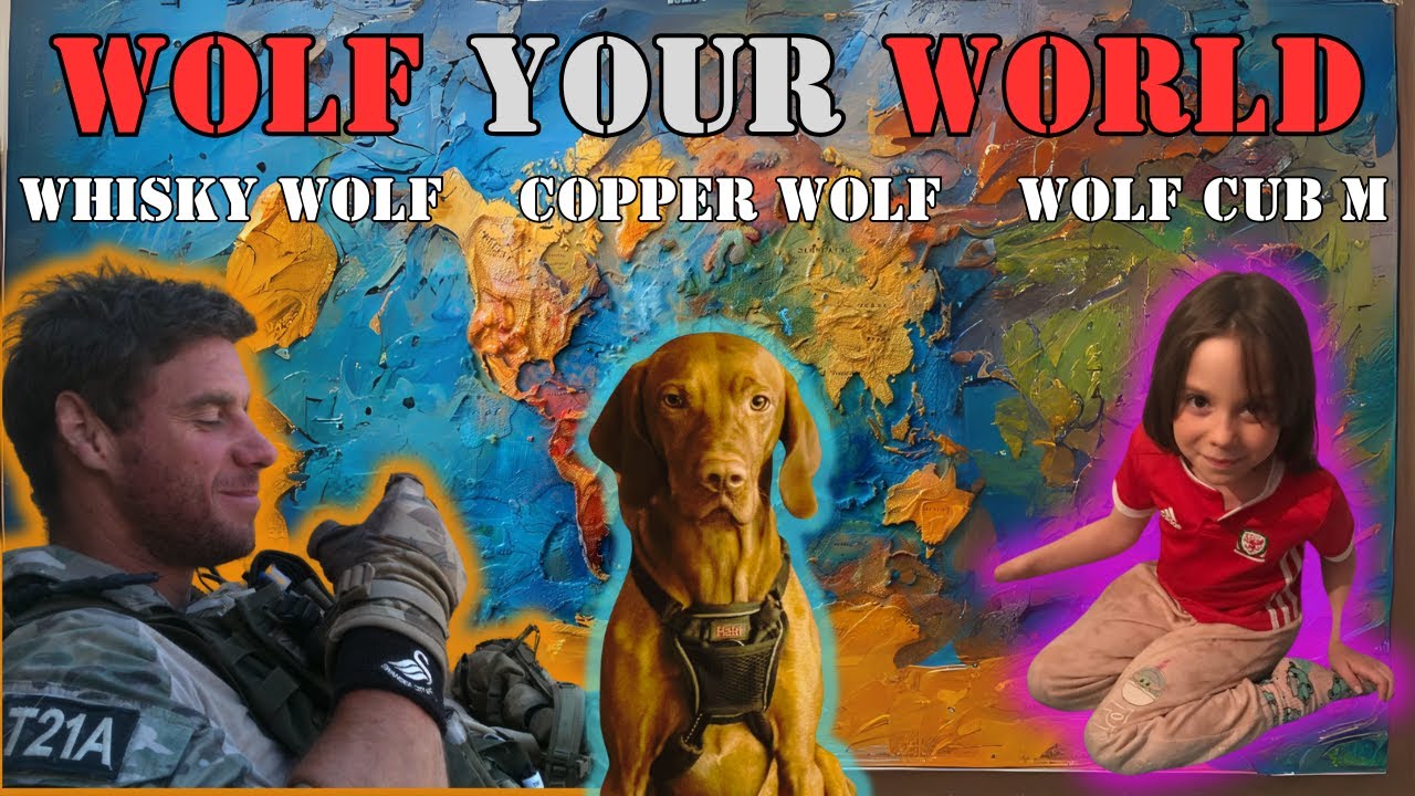 WOLF YOUR WORLD. The Wolf Pack has arrived with fledgling paw prints... - YouTube