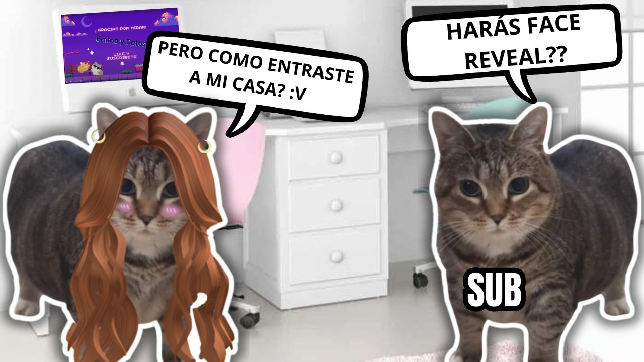 PREGUNTAS Y RESPUESTAS , especial 200k (meme de gatos) - YouTube
