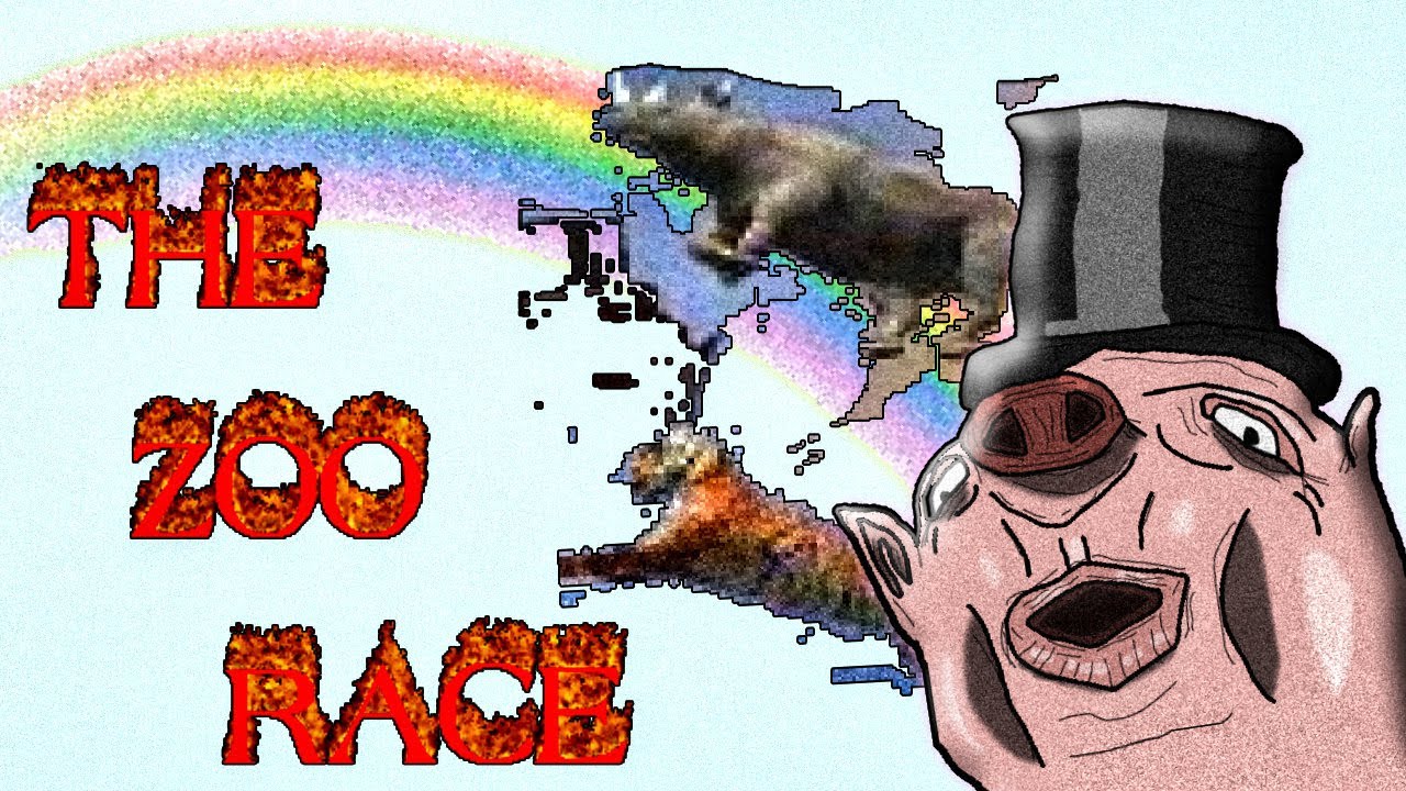 🔥 𝚃𝙷𝙴 𝚉𝙾𝙾 𝚁𝙰𝙲𝙴 🔥 - YouTube