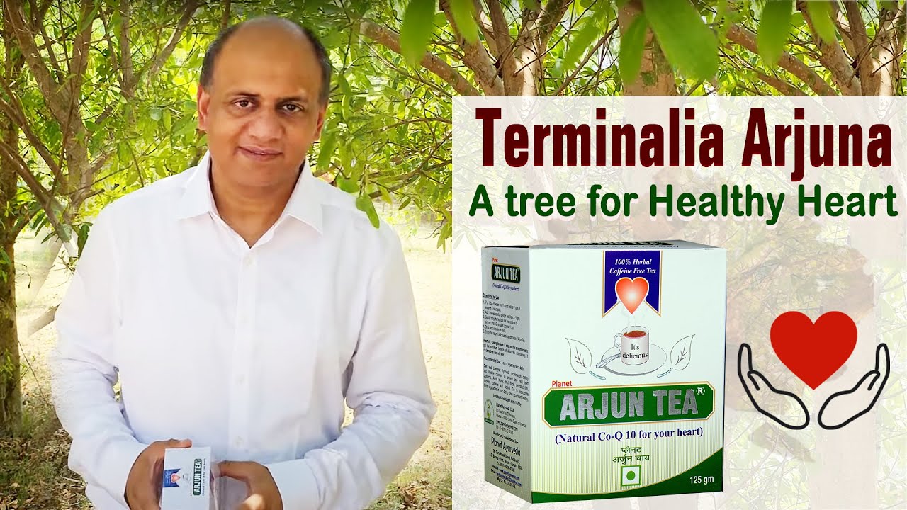 Terminalia Arjuna - A tree for healthy heart - YouTube