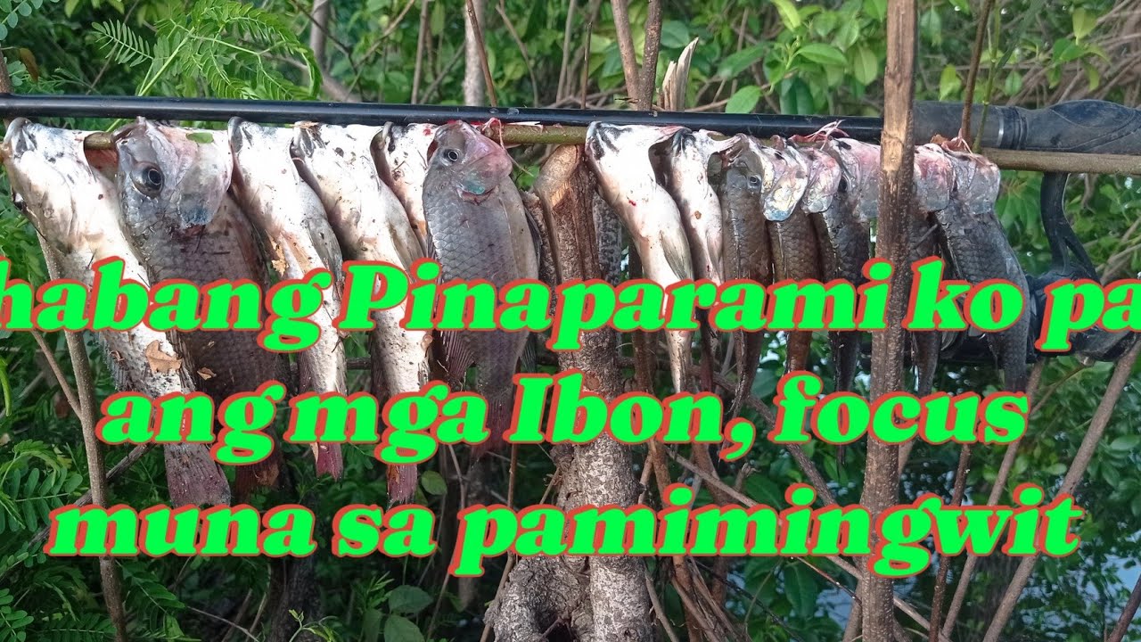 Pamimingwit Lang pero para nanlambat SA dami Ng huli - YouTube