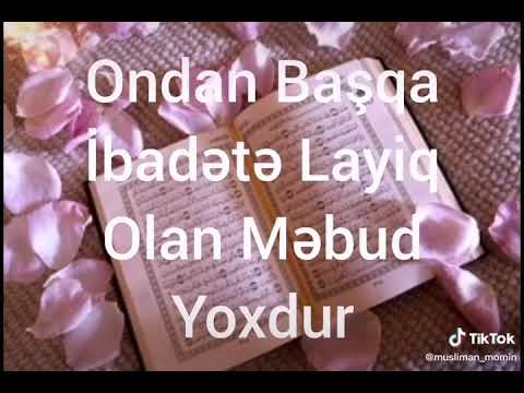 Allah təala haqqında məlumat ☪️🌹🌲🌊🏞️🌎🌍🌙❤️🛐 Hər şeyi yaradan Rəhim və Rəhman olan Allahin adı ilə....