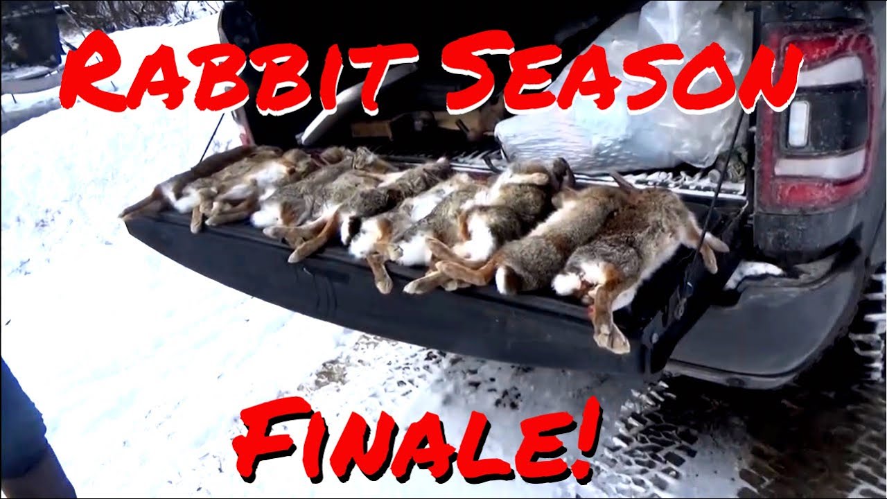 2022 Rabbit Season Finale (Went out with a bang!) - YouTube