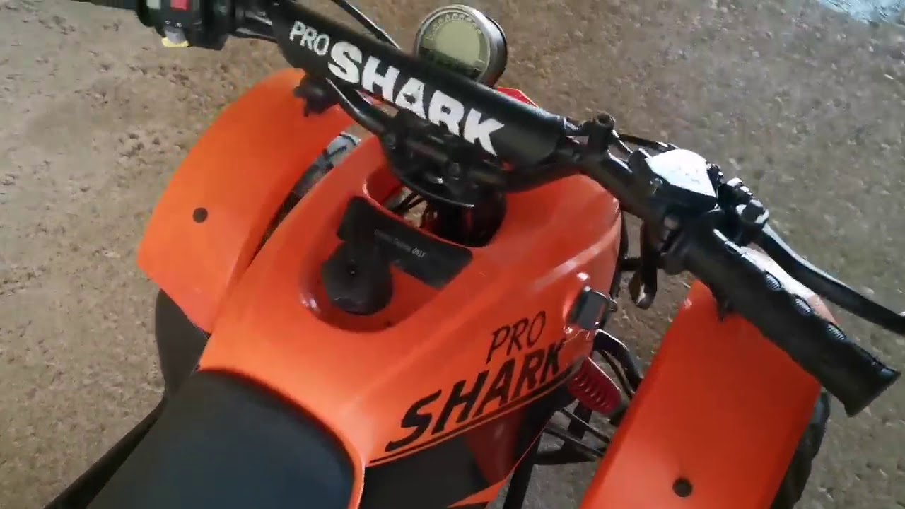 Quadzilla Pro Shark 100cc - YouTube