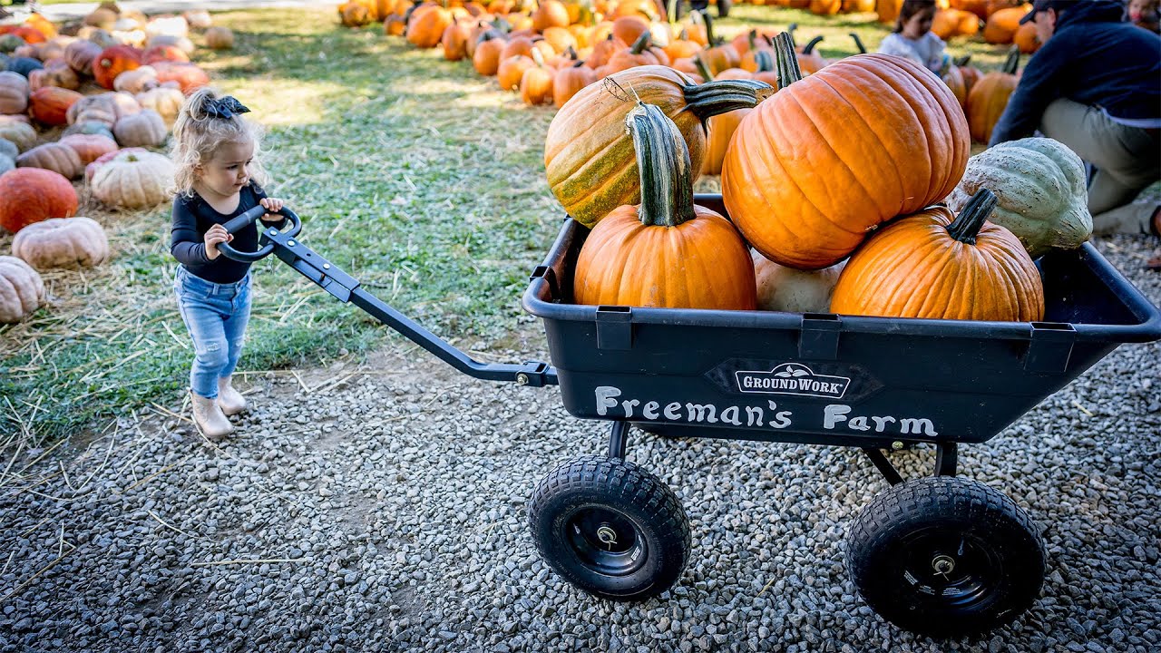BEST Pumpkin Patch Family Vlog EVER (Freeman's Farm Ohio) - YouTube