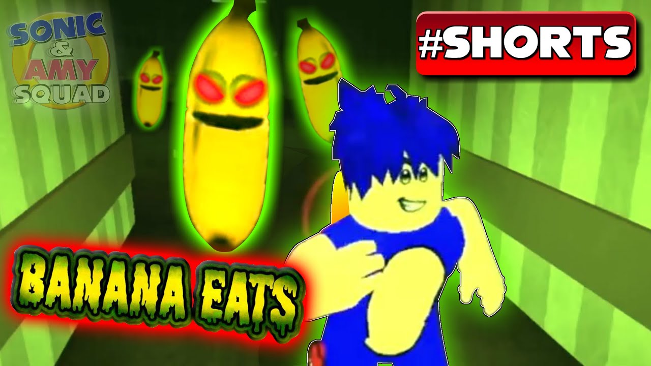 Sonic Ate Amy