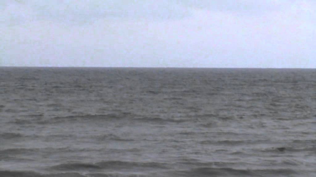 Whale Watching in Quingue, Esmeraldas - Ecuador - YouTube