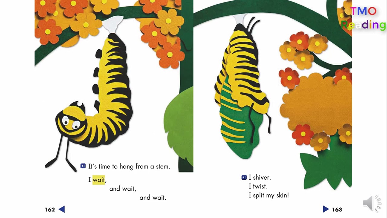I'm a Caterpillar pages 162 and 163 - YouTube
