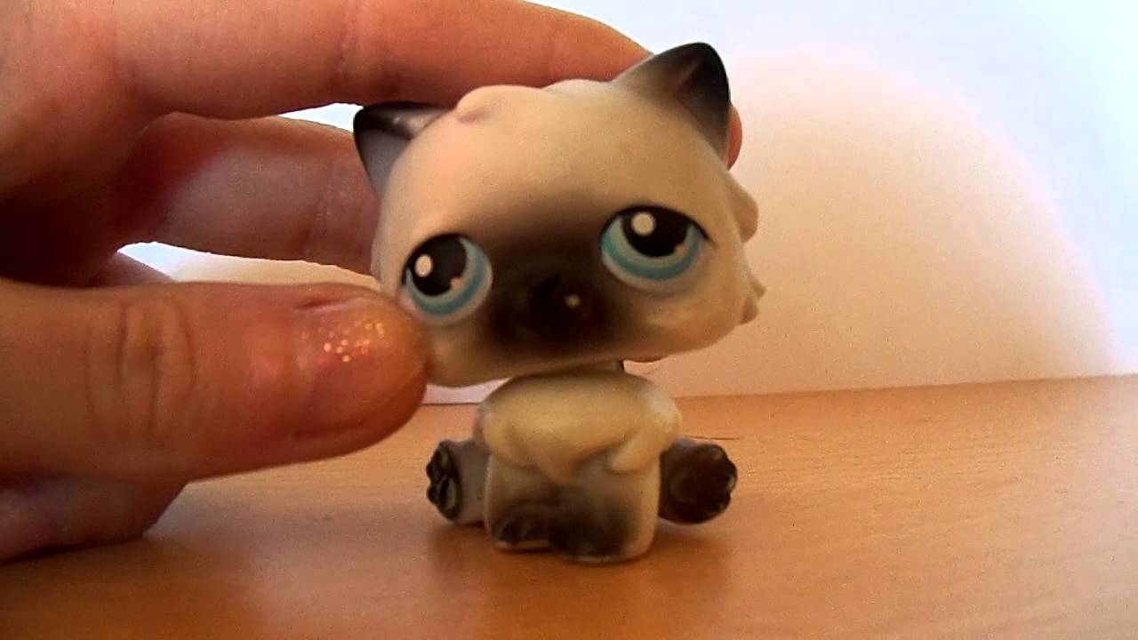 My Lps Collection Part 2 (Longhair And Persian Cats) - YouTube